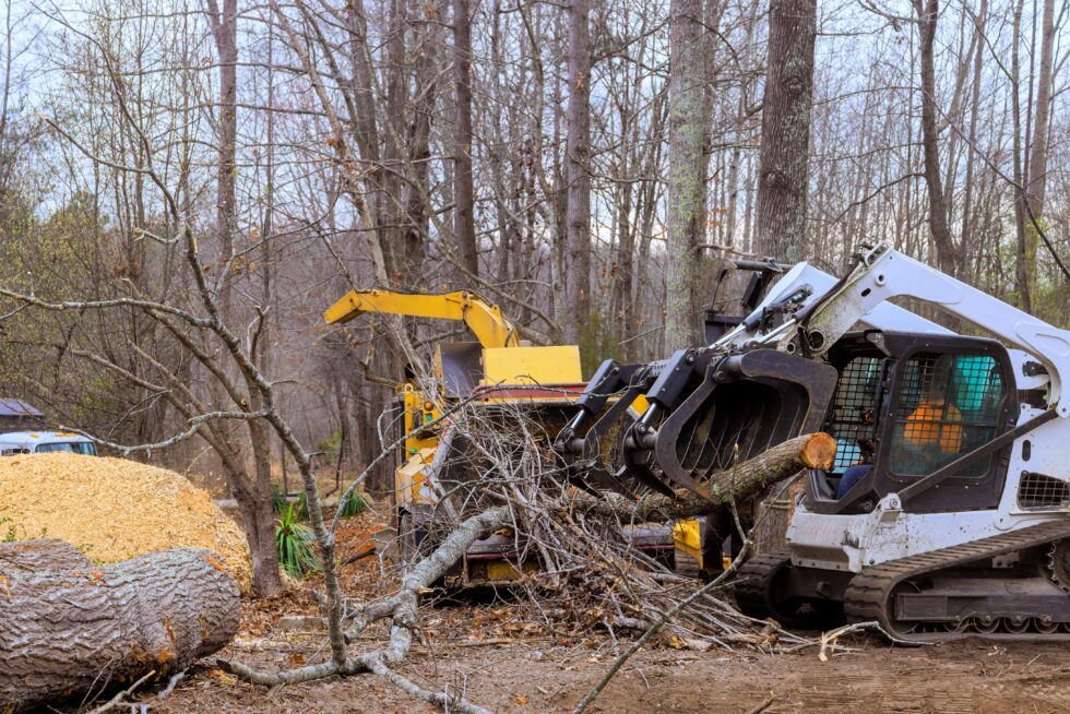 What Is It Called When People Cut Down a lot of Trees? - Kansas Tree ...