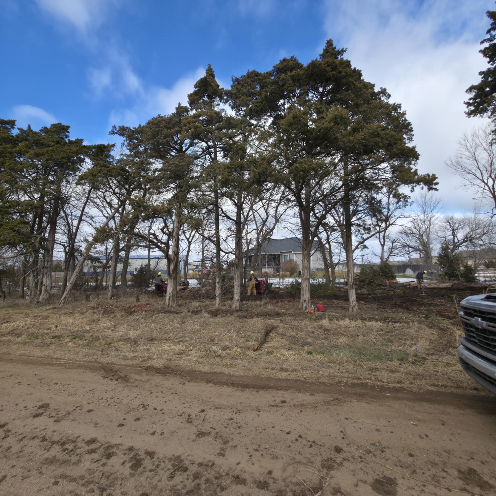 What Is It Called When People Cut Down a lot of Trees? - Kansas Tree ...